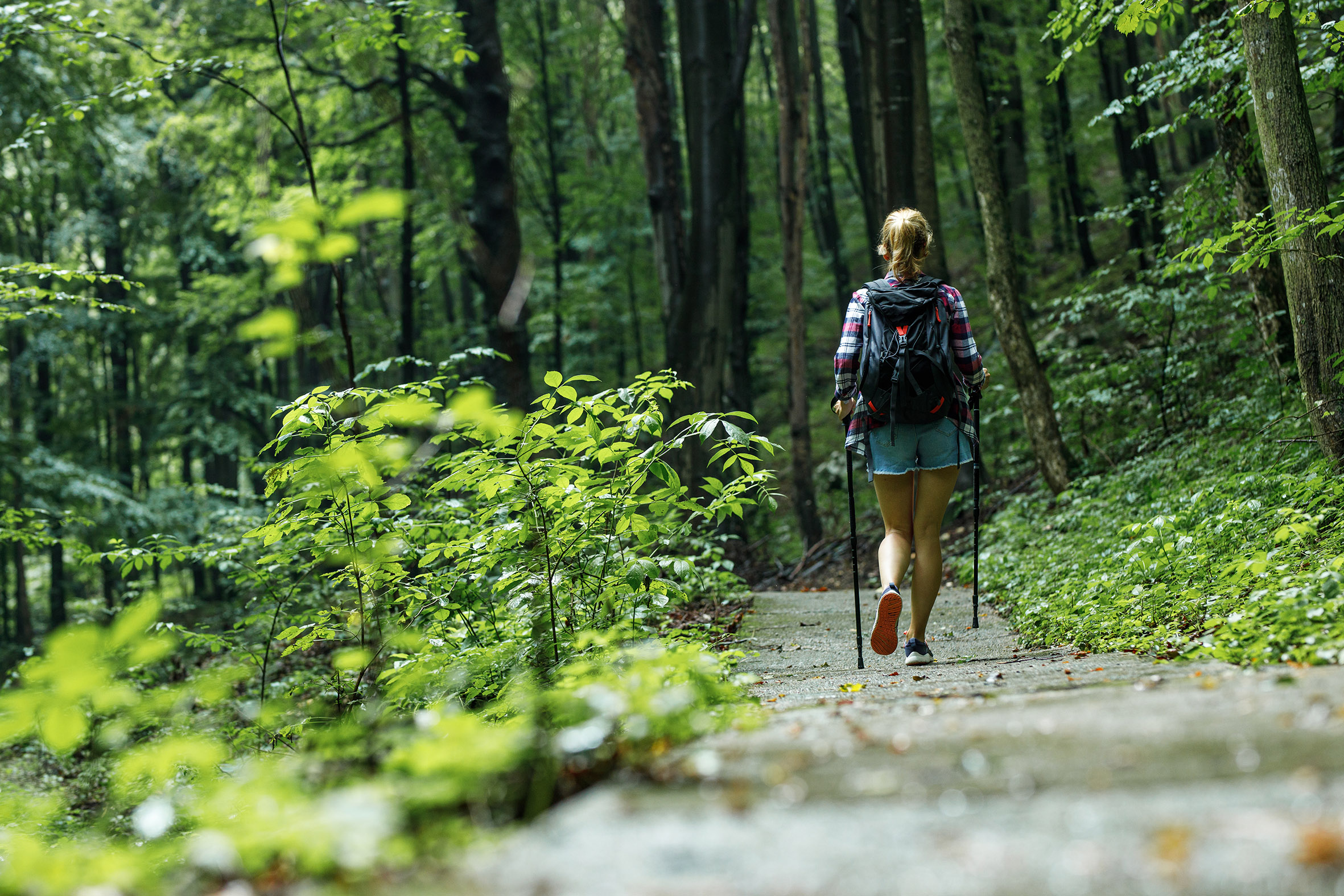 Walking Trails in Cambridgeshire, UK - Ravish Magazine