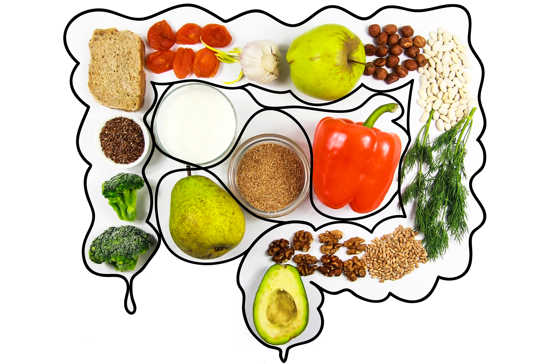 The Significance of Good Gut Health - Ravish Magazine