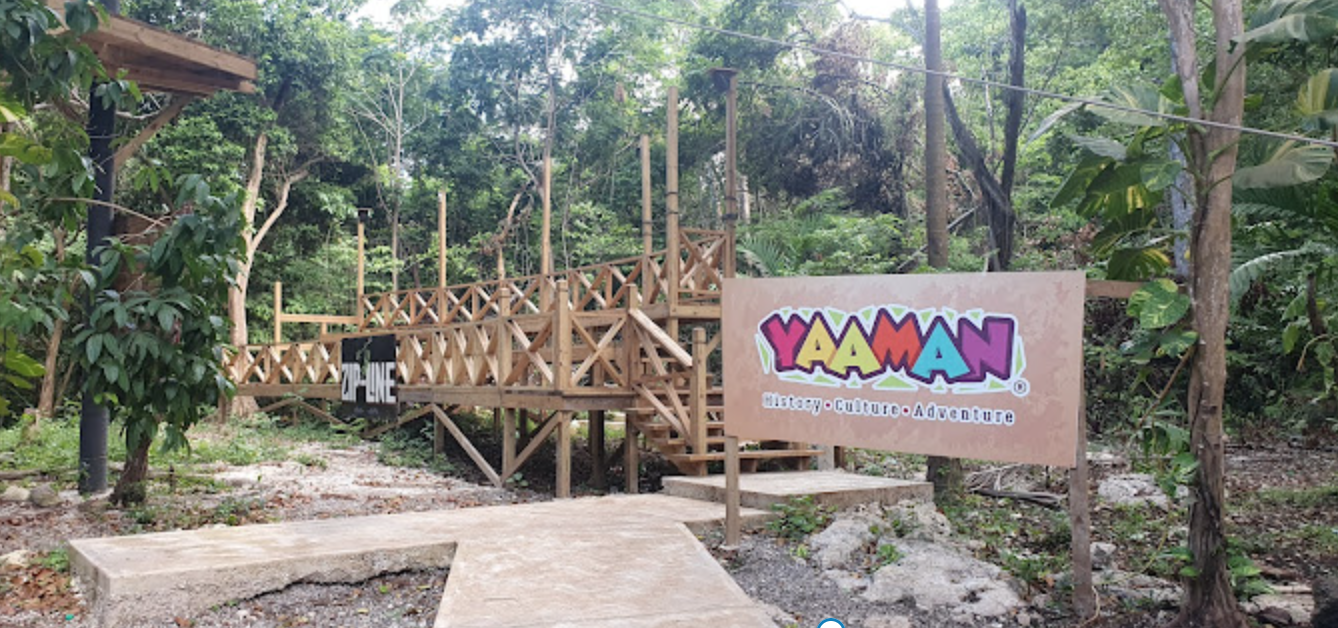 Discover the Caribbean Paradise: Unmissable for Jamaica Cruise ...