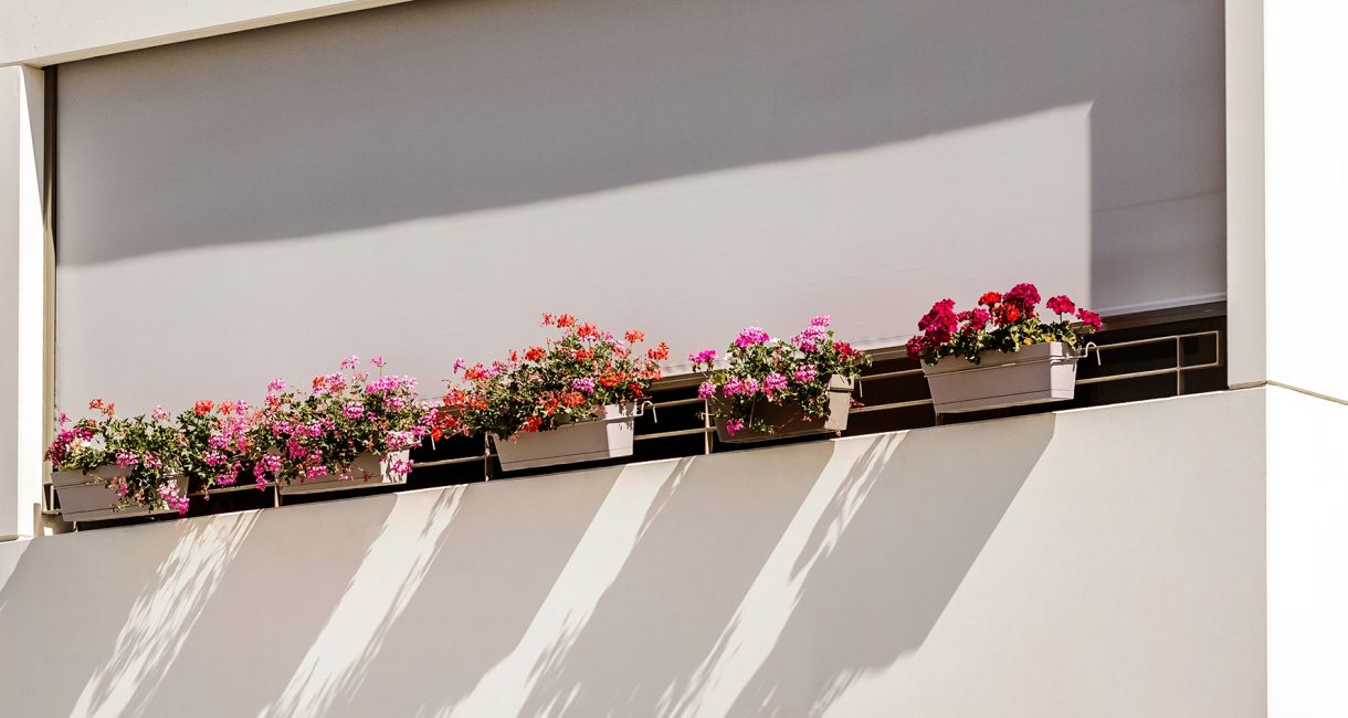 Bright vs. Dark Outdoor Roller Blinds: How to Choose? - Ravish Magazine